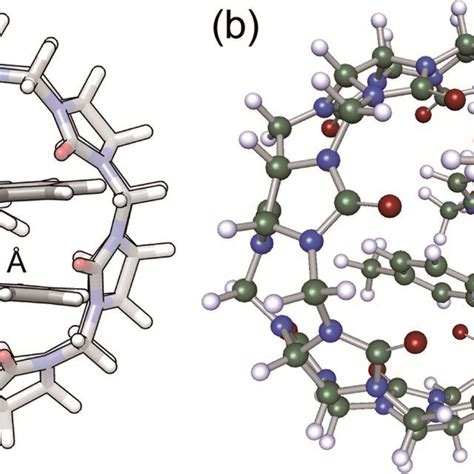 A Dft Optimized Structure Of Assembly Cb 8 ·1b2h B97 3cdef2 Mtzvp