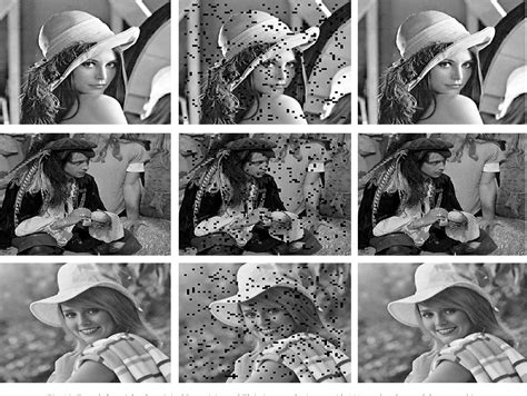 figure 12 from edge guided image gap interpolation using multi scale