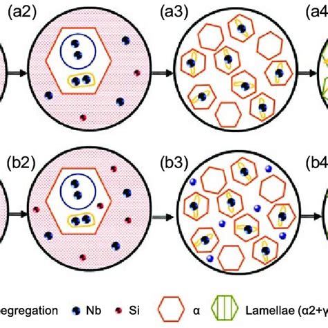 Schematic Diagram Showing Microstructure Evolution Of Ti48al6nbxsi Download Scientific Diagram