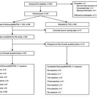Theoretical Model This Figure Describes Hypothesized Relationships Download Scientific