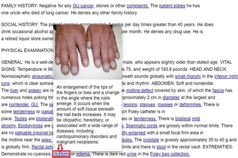 Screenshot Of An Annotated Document Download Scientific Diagram