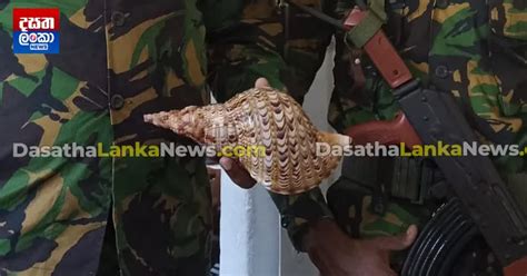 හොරකම් කළ වාලම්පුරියක් කෝටියකට විකුණන්න තැතක් Dasatha Lanka News