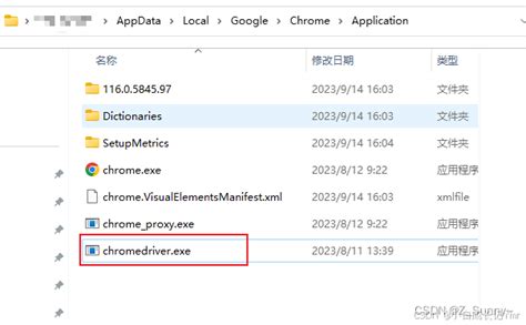 Selenium安装webdriver最新chrome驱动并启动chrome浏览器chrome Webdriver Csdn博客