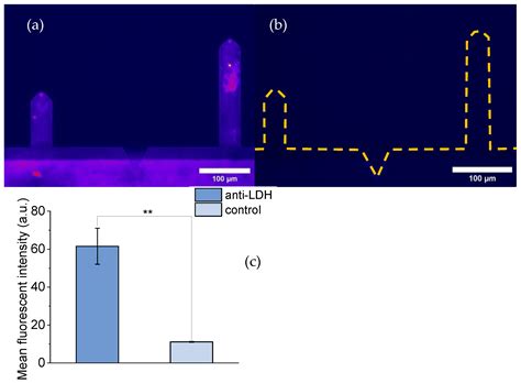 Identification Of Individual Target Molecules Using Antibody Decorated Deeptiptm Atomic Force