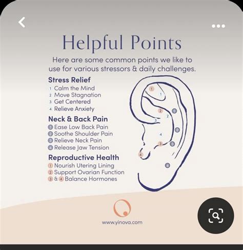 Medical Piercings Acupressure Ear Piercing