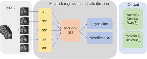 Multitask Regression And Classification Network Areas2 Cavity Area