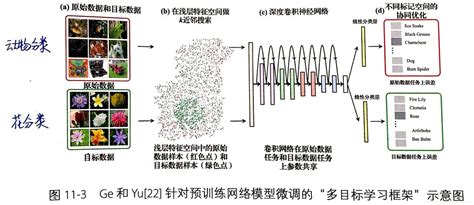 迁移学习 Transfer Learning 源码巴士