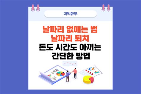 날파리 없애는 법 날파리 퇴치 돈도 시간도 아끼는 간단한 방법