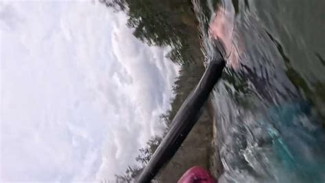 Why Your Roll Is Failing And What To Do About It