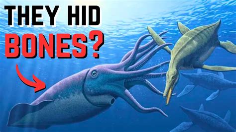 Triassic Cephalopods What Ancient Sea Creatures Lived In The Us