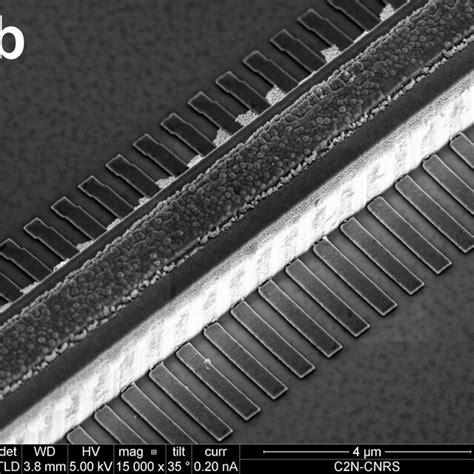 Sem Pictures Of Fabricated Dfb Lasers A Ic Dfb With 3 Rd Order
