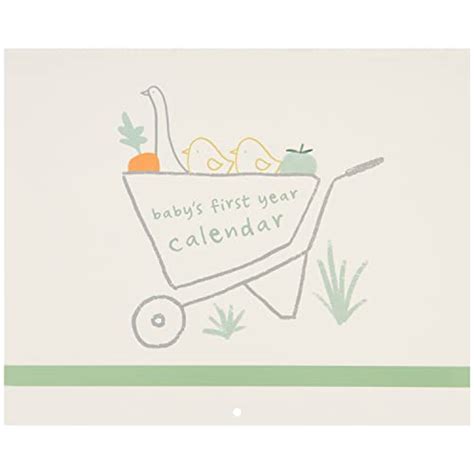 Review: Baby's First Year Calendar | Giftslessordinary