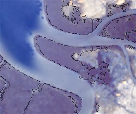 Classify Mangroves Using Deep Learning Documentation