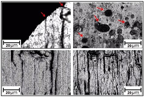 Aspects Of The Micrographics Of The Coatings Surfaces Of Nip With Download Scientific Diagram