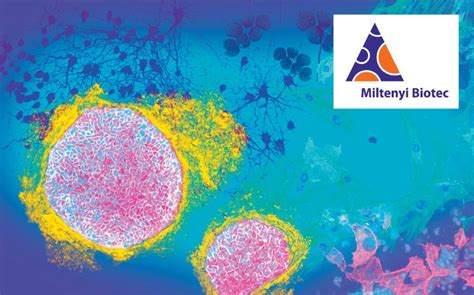 Webinar On Til Cell Manufacturing With Miltenyi Biotec Cell And Gene