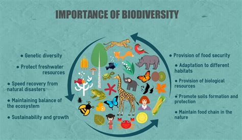 Biodiversity