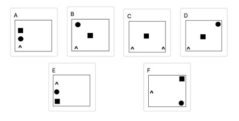 Free Sova Assessment Practice Full Explanations 2025