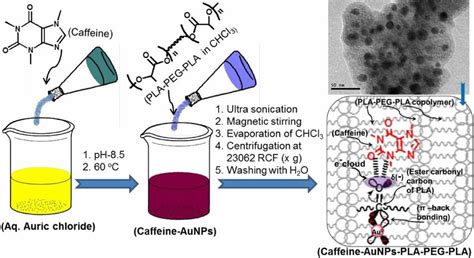 The Preparation Of Caffeine Loaded Gold Nanoparticles Conjugated To Download Scientific Diagram
