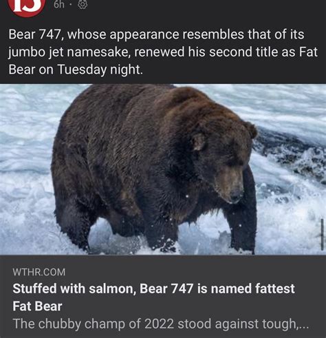 747 Wins Fattest Bear Rdeepfatfried