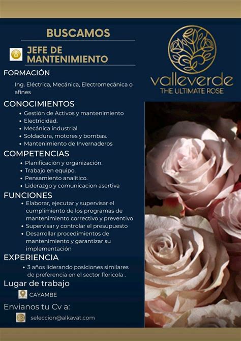 Griselda Flores On Linkedin Sihayempleo Sihaytrabajo Jefedemantenimiento Replica