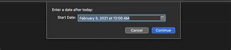 Plug In Forms Date Input