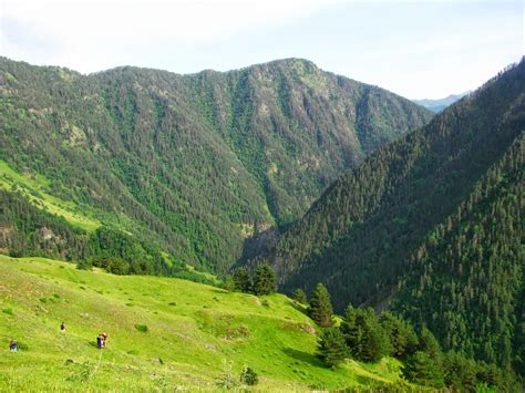 Science დედა ბუნება