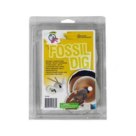 Fossil Dig Fossils Geologic Time Earth Space Science
