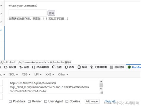 pikachu sql 注入（盲注） pikachu盲注 csdn博客