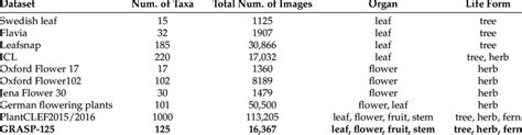 Summary Of The Most Popular Image Datasets For Plant Recognition Download Scientific Diagram