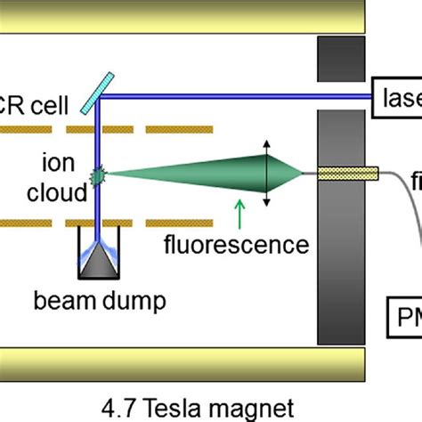 Simplified Schematic Of The Fourier Transform Ion Cyclotron Resonance Download Scientific