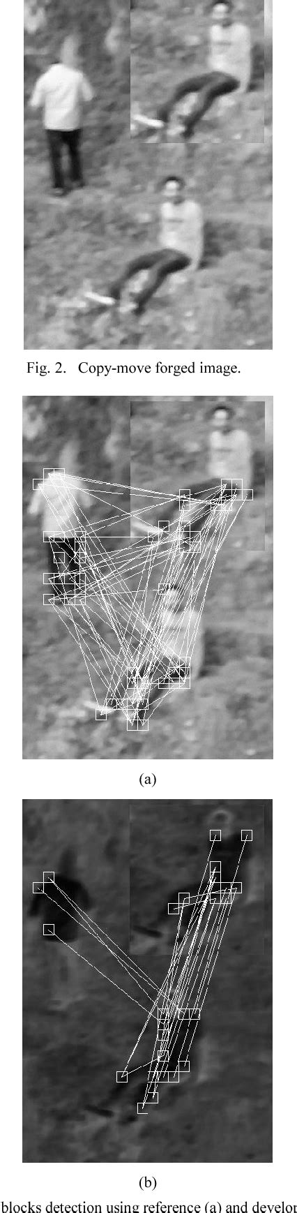 Figure 2 From Copy Move Forgery Detection Using Principal Component