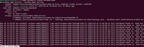 Relay Node Stuck Validating Chunks Operate A Stake Pool Cardano Forum