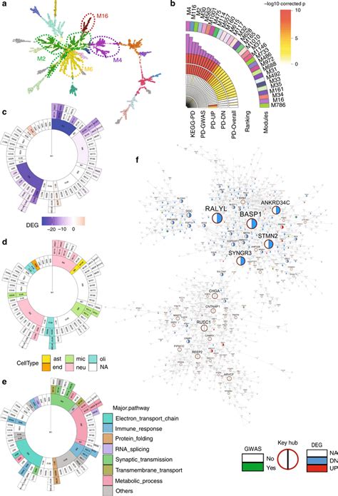 Gene Co Expression Modules Associated With Pd A A Global Megena