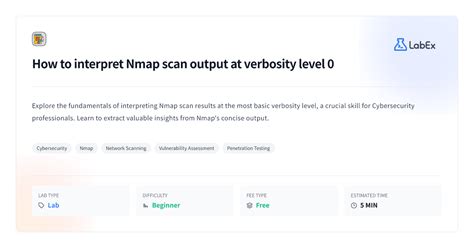 how to interpret nmap scan output at verbosity level 0 labex