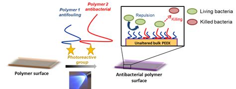 Advanced Polymeric Biomaterials — Ibmm Polymers For Health And Biomaterials
