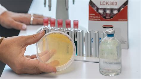 Microbe Converts Co₂ To Minerals Mirage News