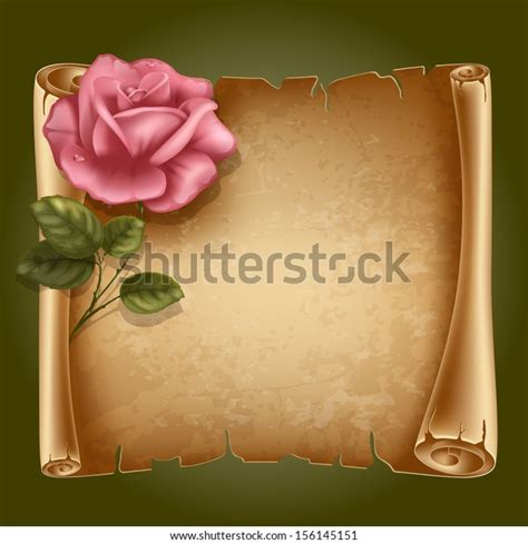 Horizontal Old Scroll Paper Beautiful Rose Stock Vector Royalty Free