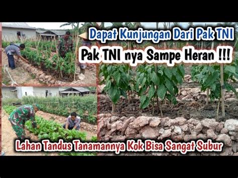 Pak TNI Keheranan!!! Tanaman tetap subur walau di lahan tandus - YouTube