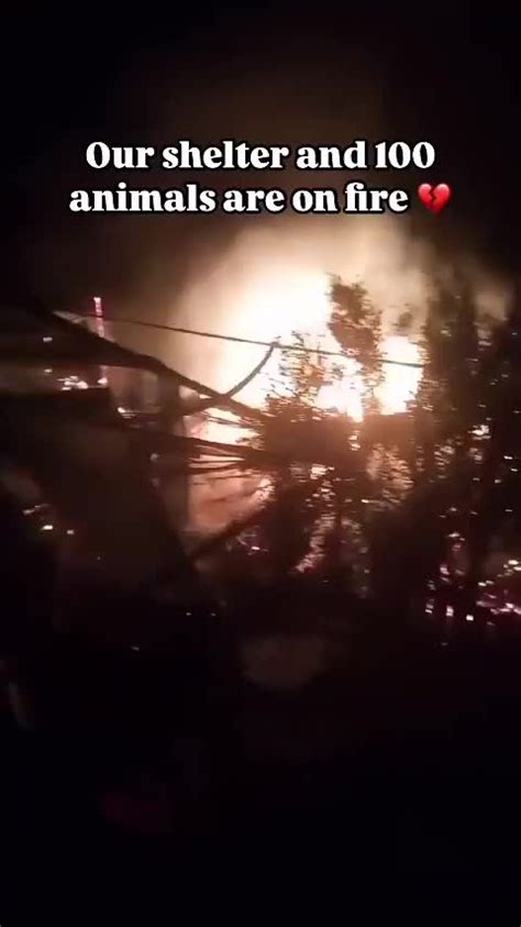 It Feels Absolutely Unreal To Be Making This Video And Typing This Post You Thought We Have Had