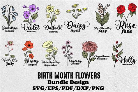 Birth Month Flowers Svg Png Bundle Graphic By Bundledesigner · Creative