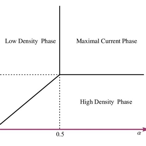 Mean Field Phase Diagram For Tasep On A Tree Download Scientific Diagram