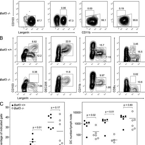 Comparative Microarray Expression Analysis Of Lung And Splenic Dc