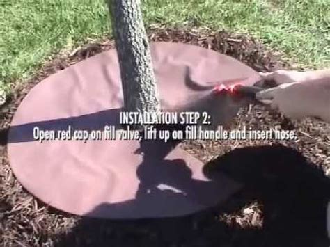 Treegator Jr Pro Slow Release Watering Bag For Trees Shrubs YouTube