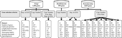 Blastocladiomycota Semantic Scholar
