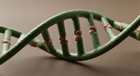 Planetary Boundary Documentation → Term