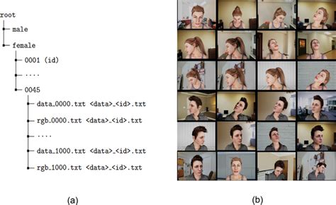 a folder structure for the head pose data b ground truth synthetic