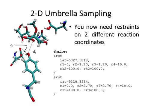 Practical Guide To Umbrella Sampling How To Run