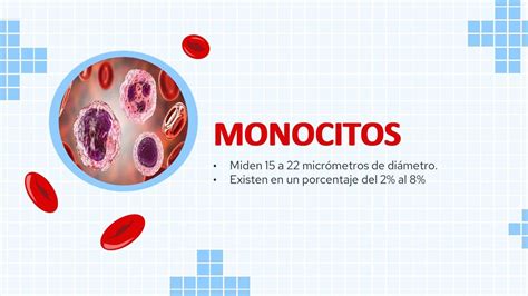 Monocitos El Rincón Médico Udocz