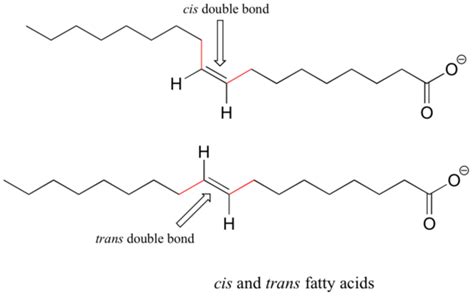 For Fatty Acids Saturated Fatty Acids Ie No Double Bond In The