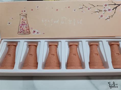 맛 술 싸 경주 첨성대 초콜릿 Daum 카페